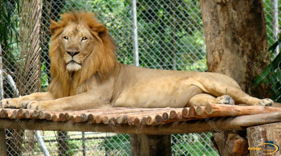 Tehran Zoo | Persian Touring